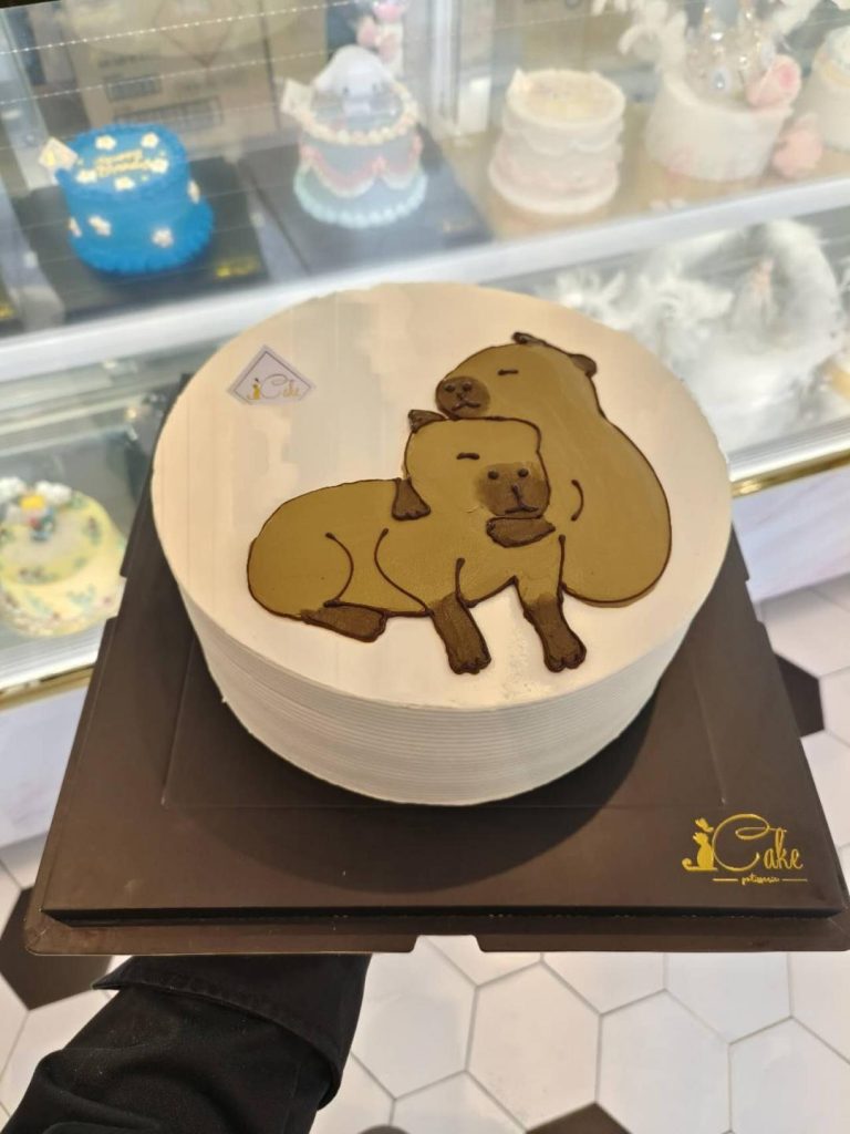 Mole Cake Design | Unique and Delicious Creations at iCake Melbourne - iCake | Melbourne Best ...